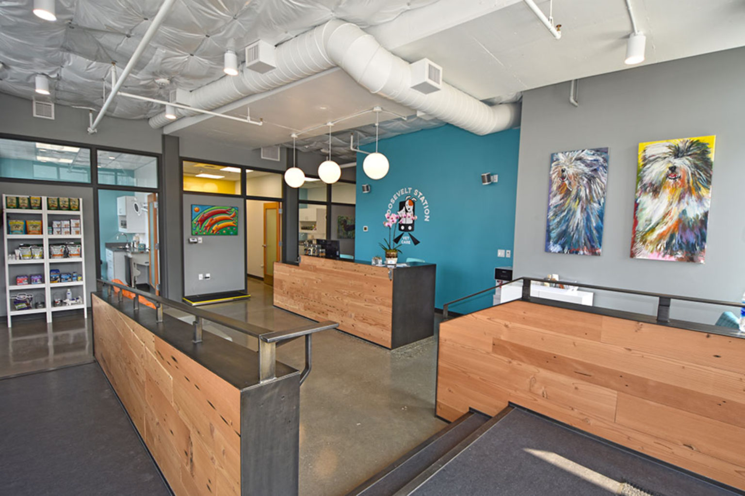 FEAR FREE VET DESIGN | Hinge Studio